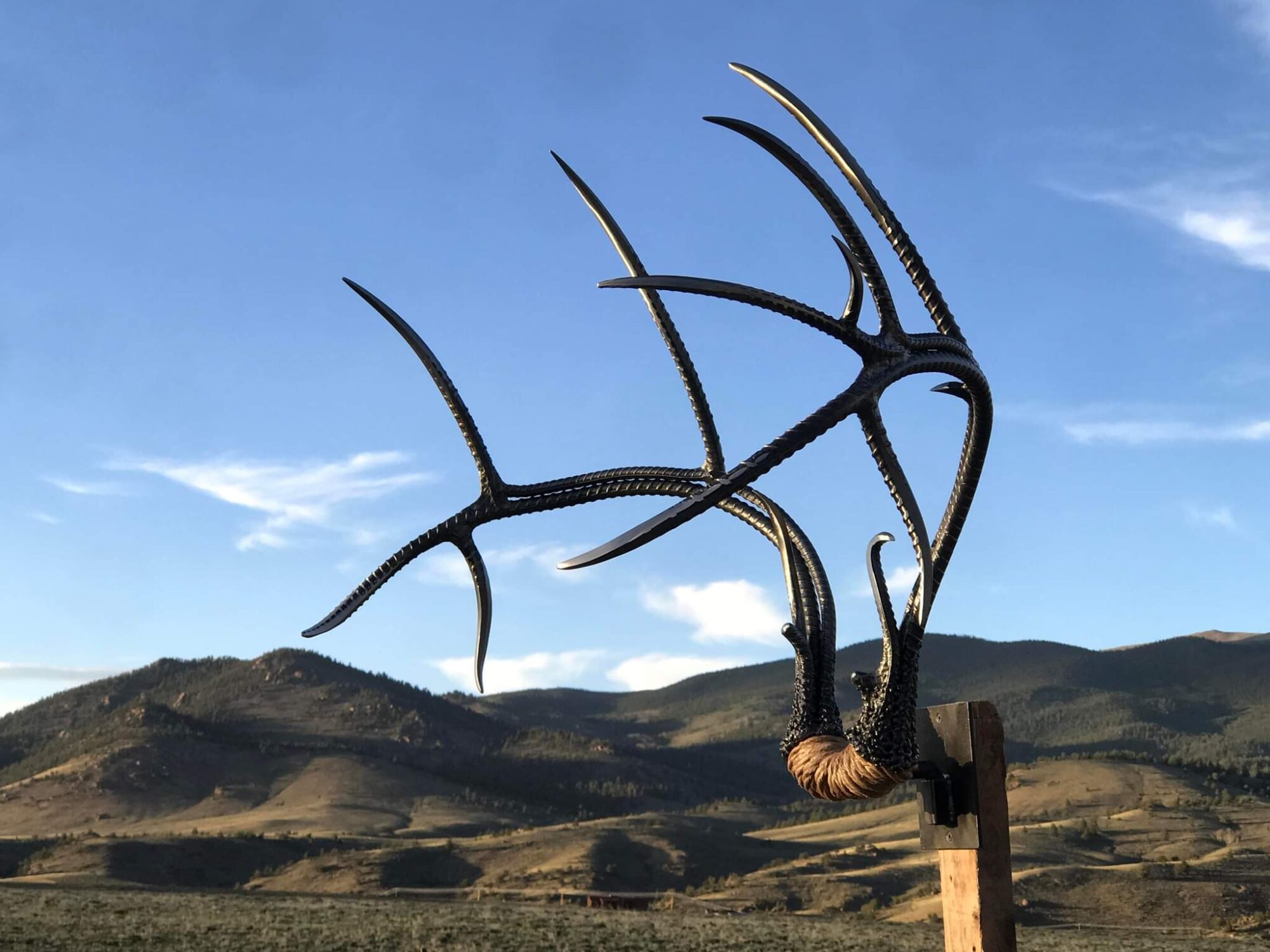 Mule Deer Rack Enhanced – Joseph Medina Sculpture